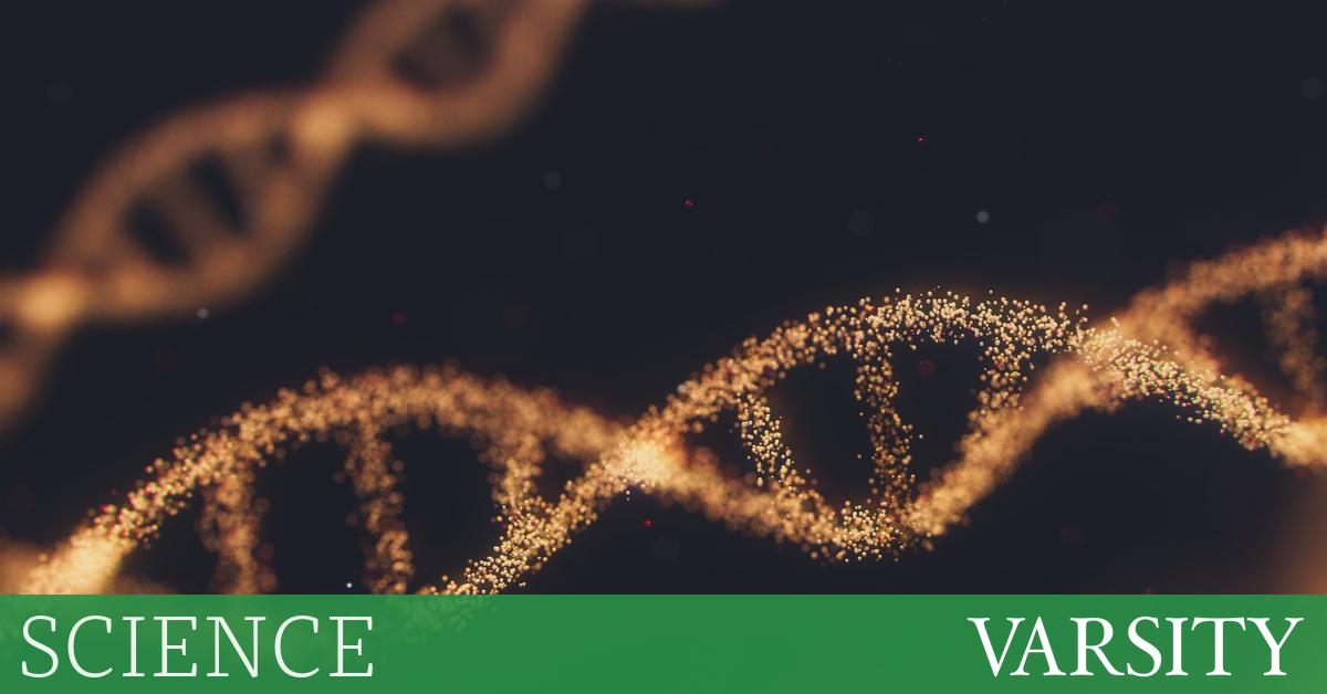 Oldest DNA ever discovered reveals two million years worth of lost ...