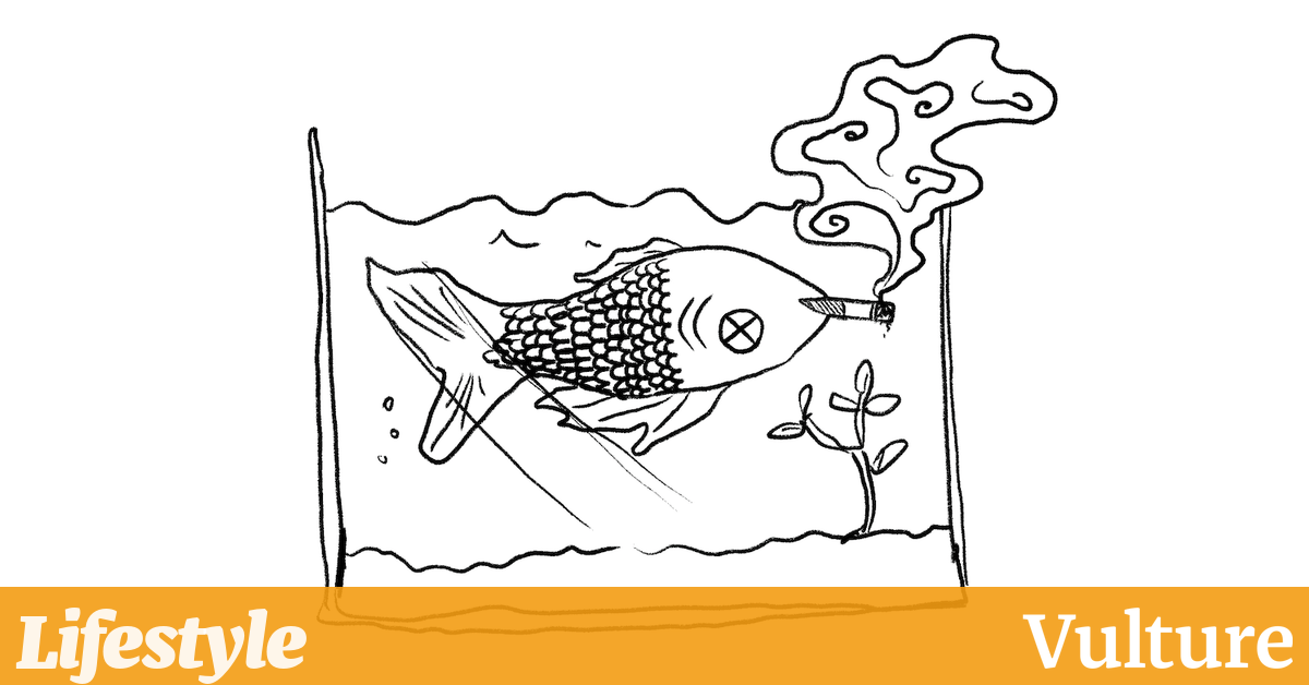 It’s easy to quit smoking – until your friend’s fish dies | Varsity