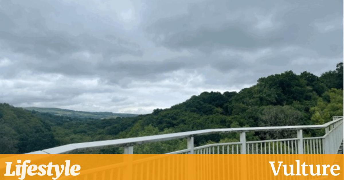 The untold benefits of memory landscaping | Varsity