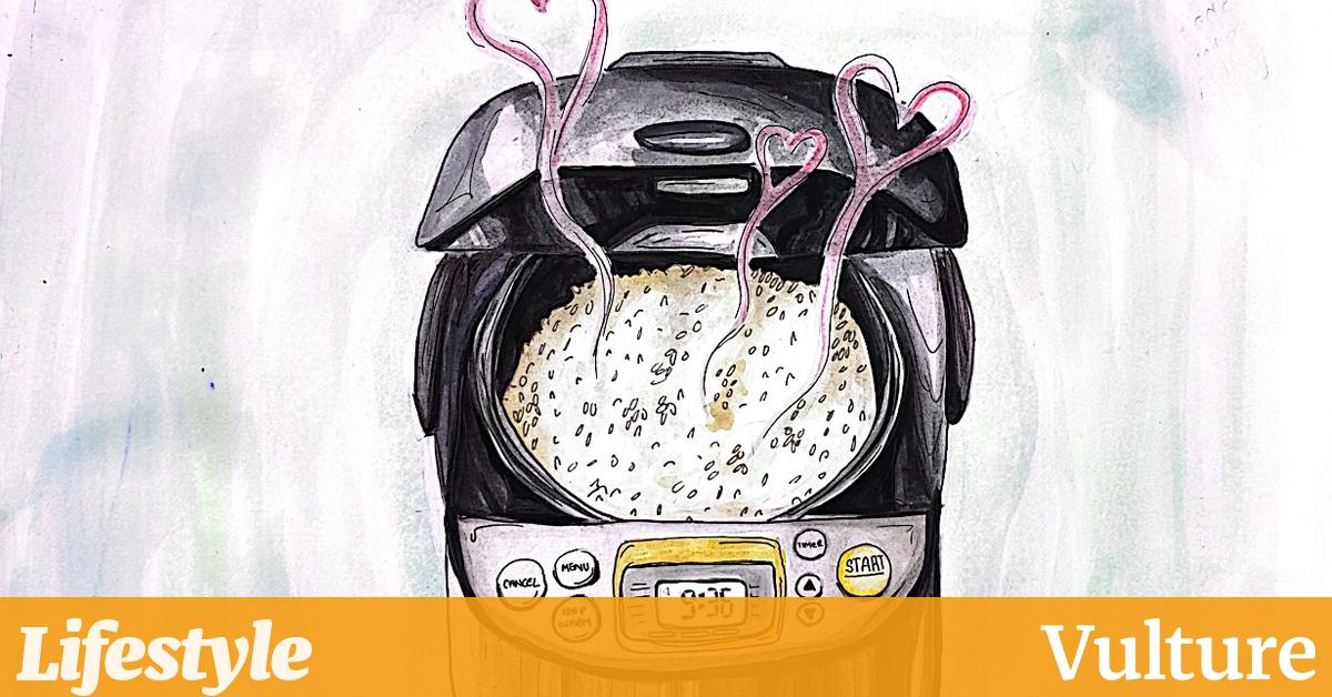 Home comforts: the humble rice cooker | Varsity