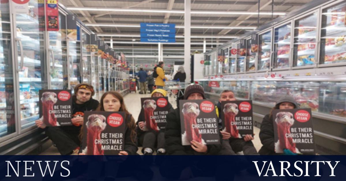 Animal rights activists stage sit-in at Tesco | Varsity