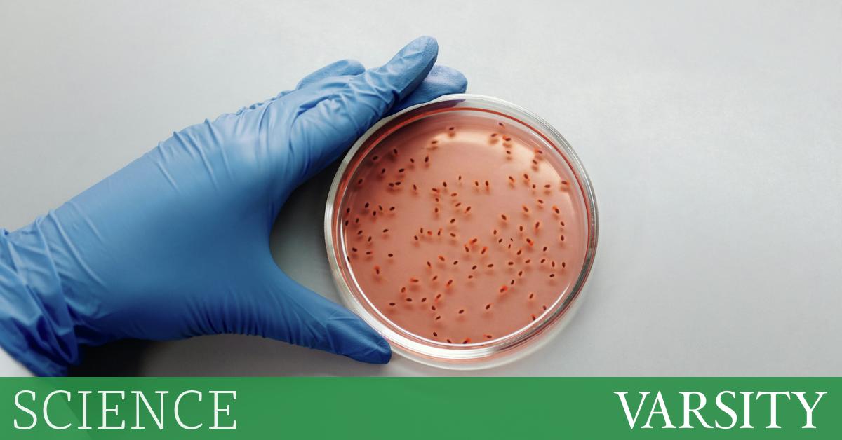 Bacteria on the mind? | Varsity