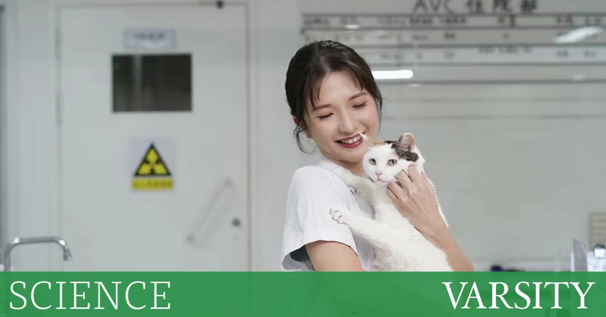 Heresy or heritage?: Dr. Grace Lin and Dr. Felicia Sunaryo on ...