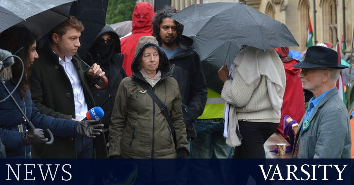 ‘Ethical candidate’ enters Chancellorship race, taking aim at ex-BP CEO ...