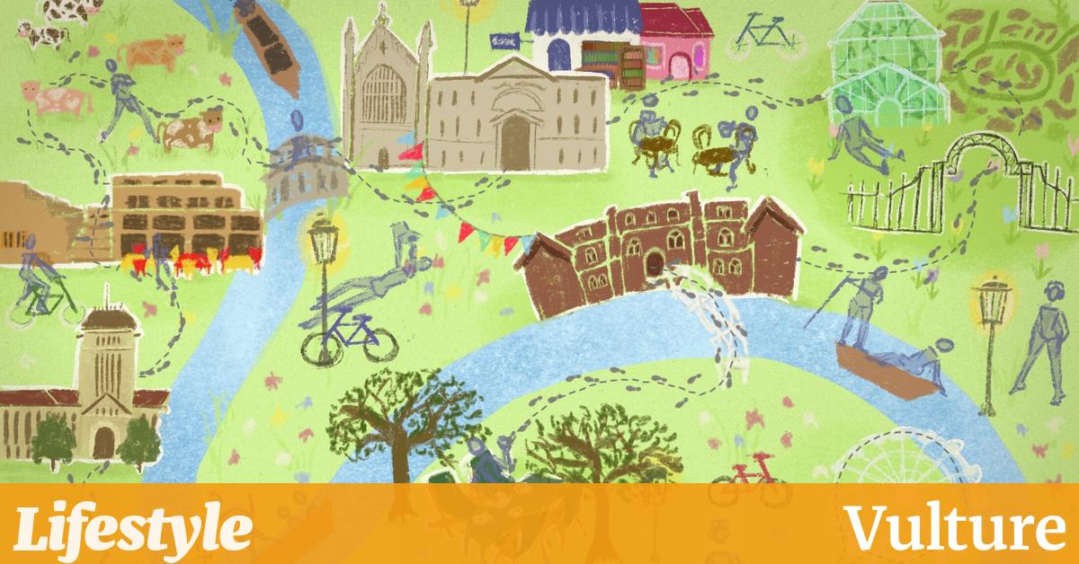 Take a walk on the welfare side | Varsity